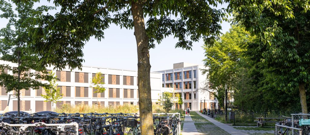 Our building - Stedelijk College Eindhoven
